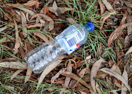 Wine and spirit bottles | Containers for Change