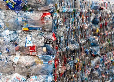 What happens after you recycle your containers? | Containers for Change