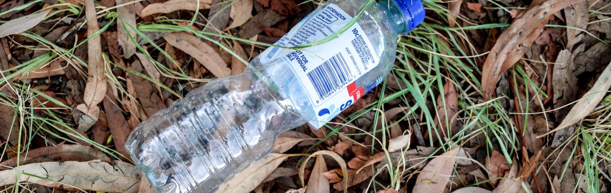 Top five reasons to recycle with Containers for Change | Containers for ...