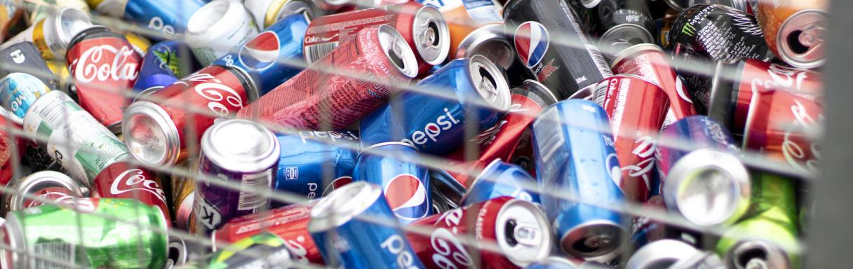 Putting recyclable drink containers in the waste bin is a rubbish idea ...